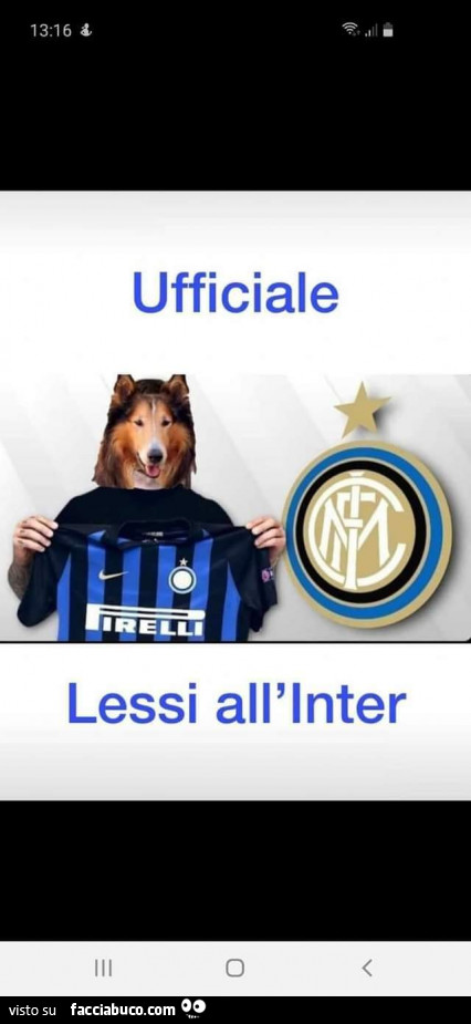 Tutti i meme sull'Inter - Facciabuco.com