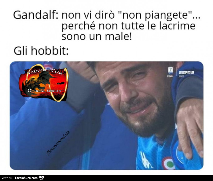 Tutti i meme su Il Signore degli Anelli - Facciabuco.com