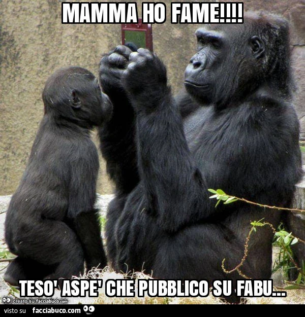 Tutti i meme sulle Scimmie - Facciabuco.com