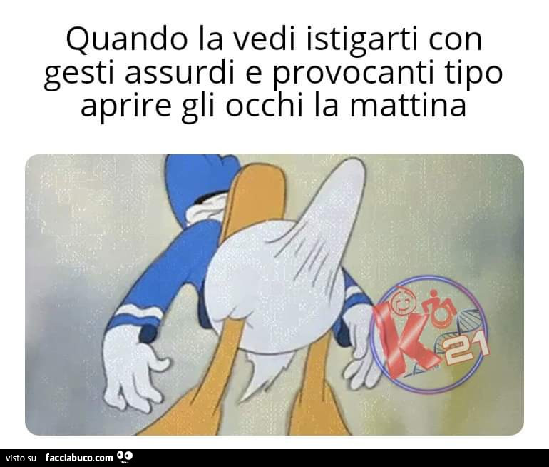Tutti i meme su Paperino - Facciabuco.com