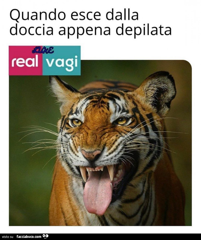 Tutti i meme sulle Tigri - Facciabuco.com