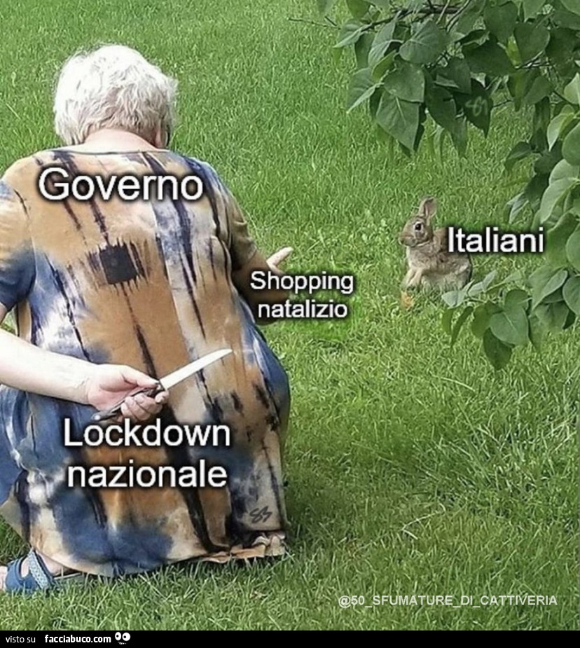 Tutti i meme sulla Quarantena - Facciabuco.com