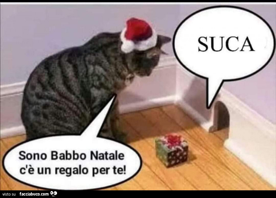 Tutti i meme su Suca - Facciabuco.com