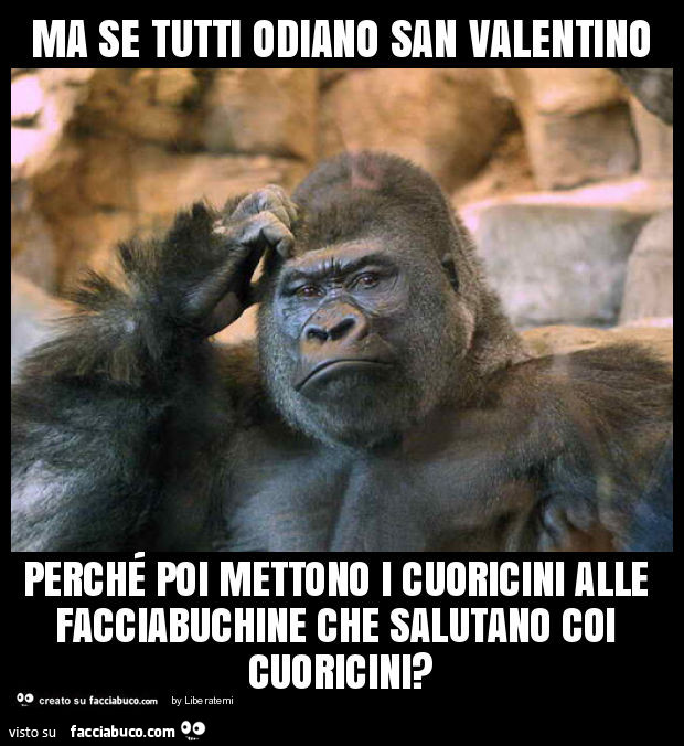 Tutti i meme sulle Scimmie - Facciabuco.com