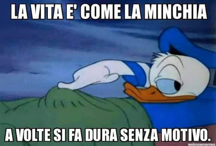 Tutti i meme su Paperino - Facciabuco.com