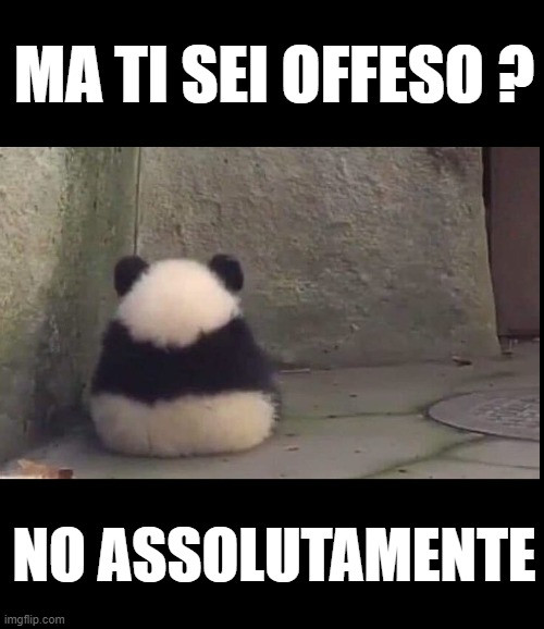 Chiacchiera pubblicata da hema - Facciabuco.com