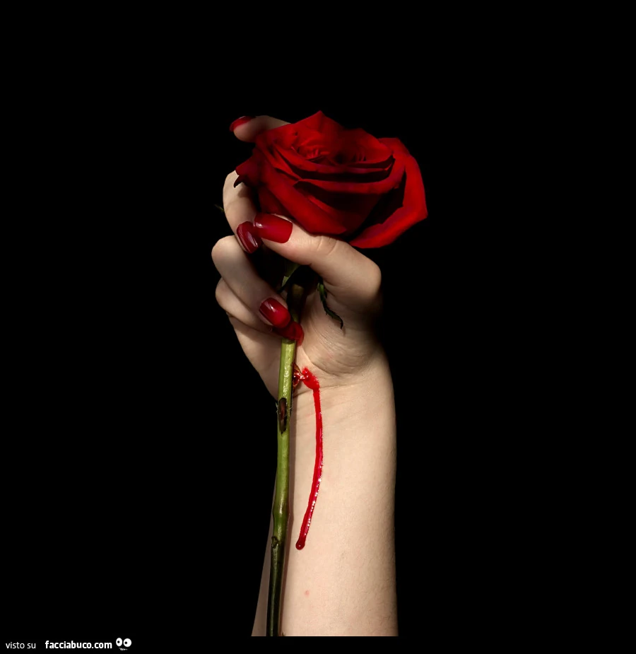 Rosa rossa in mano - Facciabuco.com