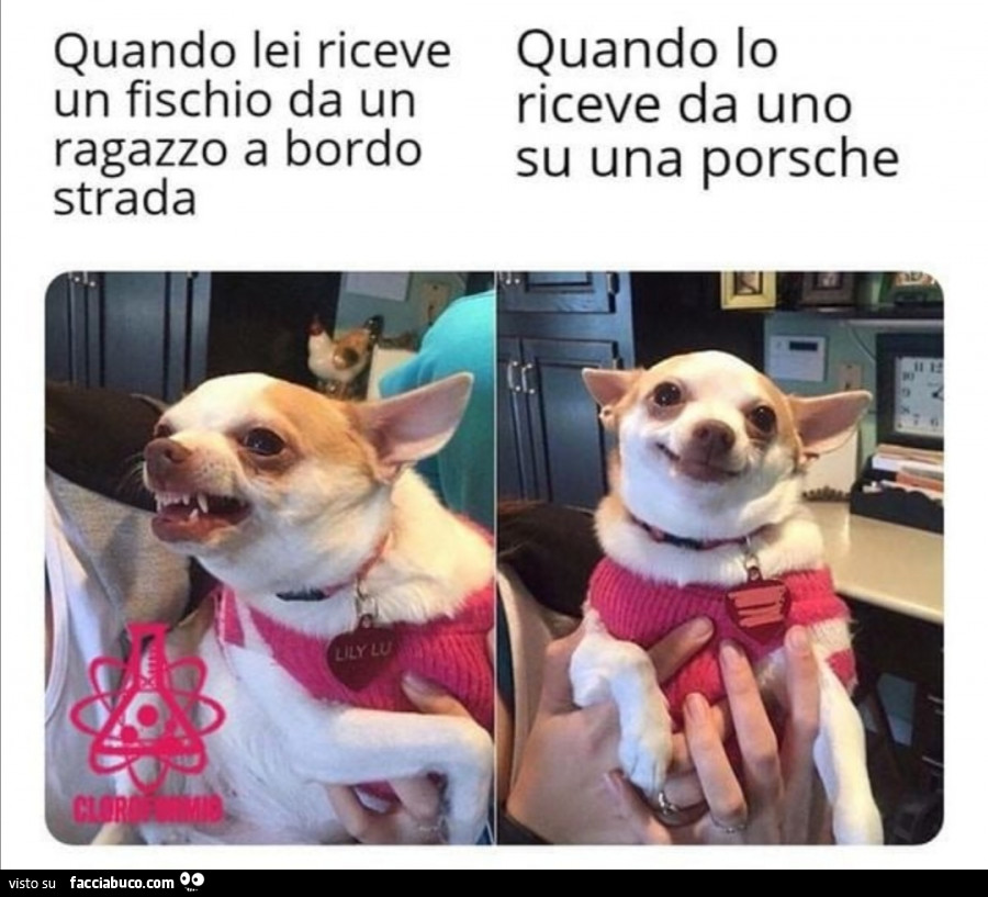 Tutti i meme sul Manicomio - Facciabuco.com