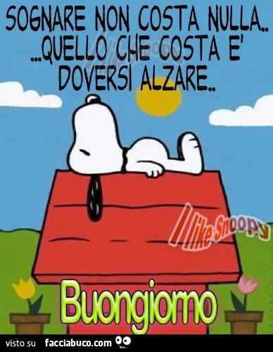 Tutti i meme su Snoopy - Facciabuco.com