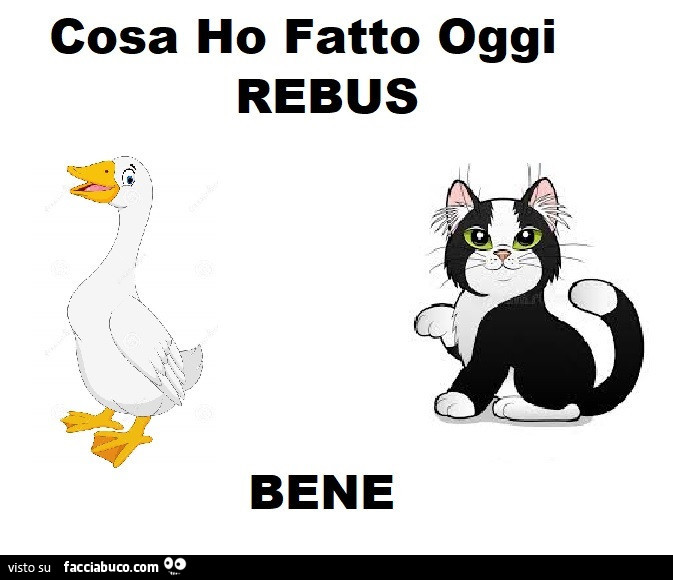 Tutti i meme su Rebus - Facciabuco.com