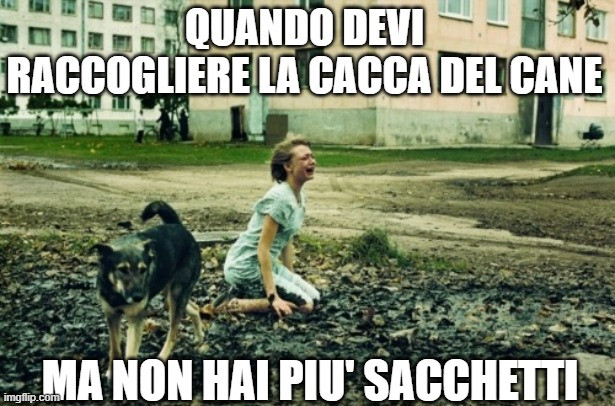 Tutti i meme sulla Cacca - Facciabuco.com