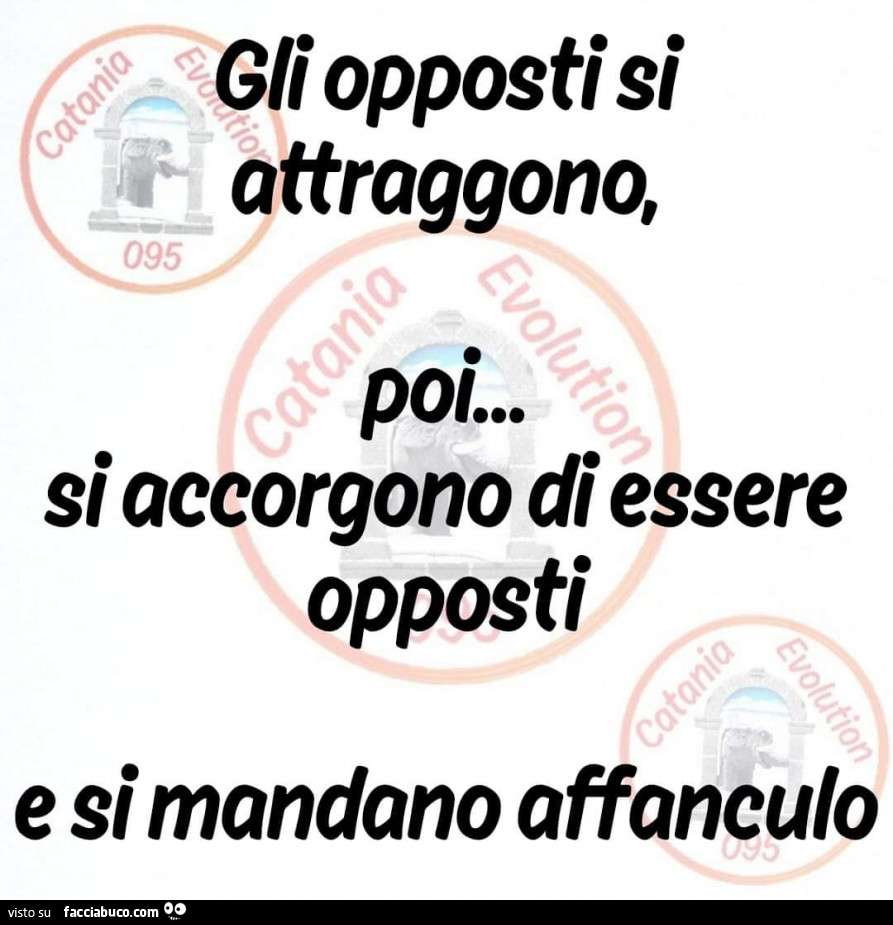 Gli opposti si attraggono, poi si accorgono di essere opposti e si ...