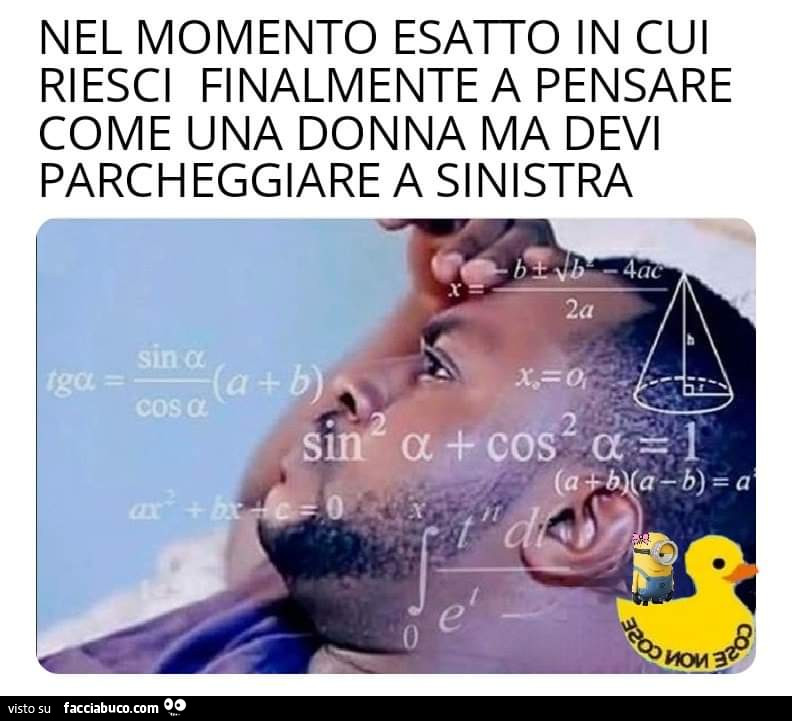 Tutti i meme sulle Donne al volante - Facciabuco.com